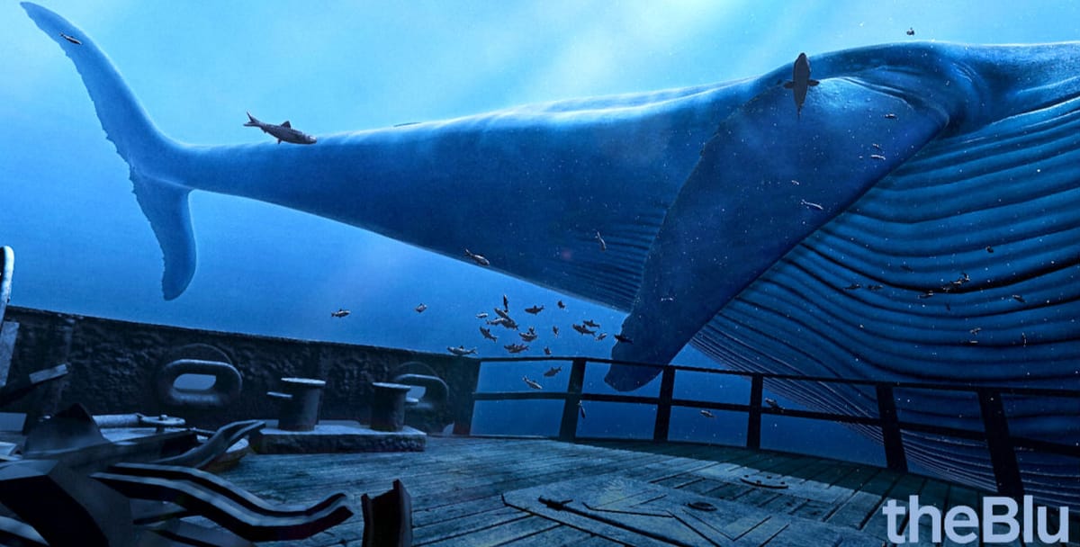 Wevr Adds $20 Annual Pass To Premium VR Content On Its Transport Service